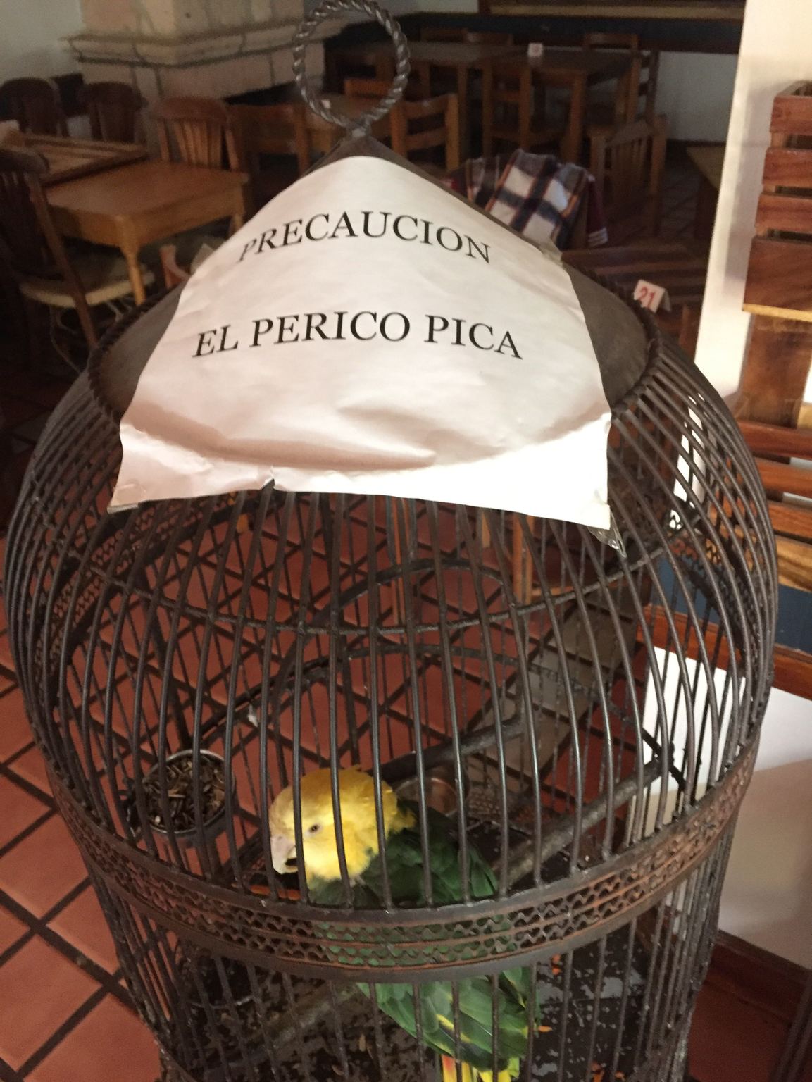 No hay meme, solo un perico. - Meme by ELCARADEVERGA :) Memedroid