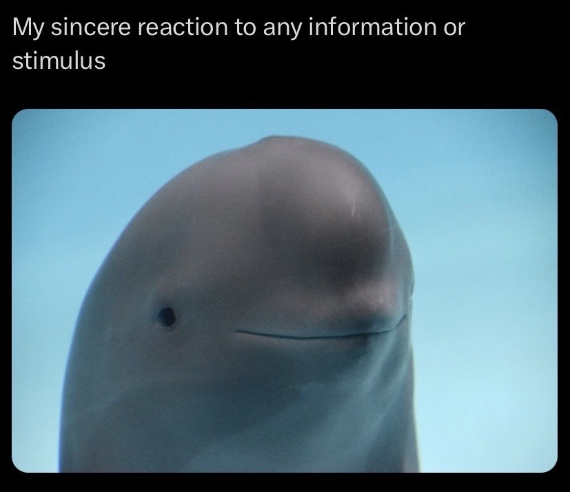 The best Reaction memes :) Memedroid