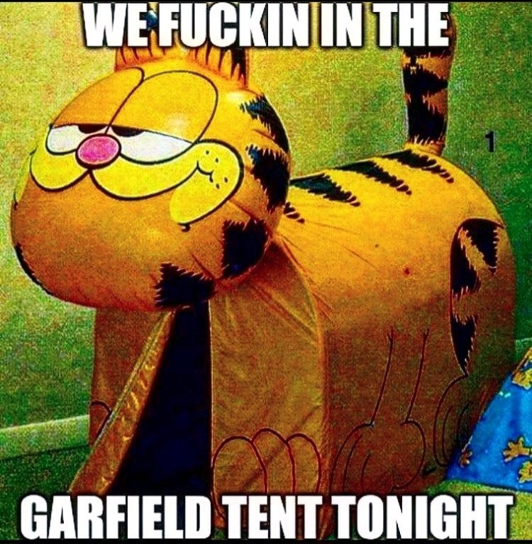 The best Garfield memes :) Memedroid