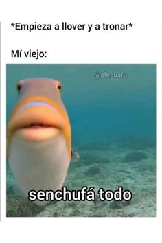 Hay - Meme subido por SAMU_12 :) Memedroid