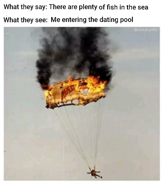 Shoot Flames Memes Dumpster Fire 2025 High Res Vector Graphic Getty