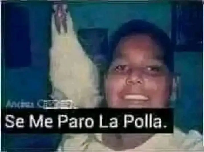 Los Últimos Memes :) Memedroid