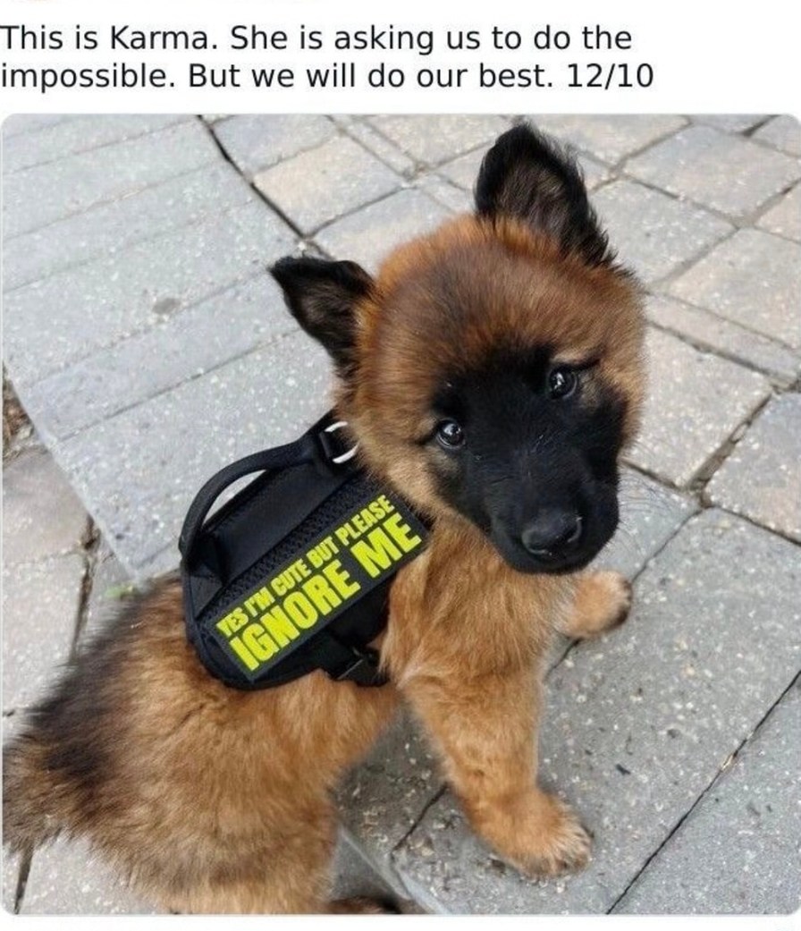 The best Karma memes :) Memedroid