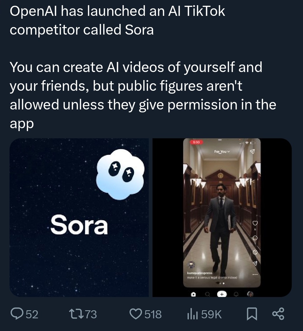 The best Sora memes :) Memedroid