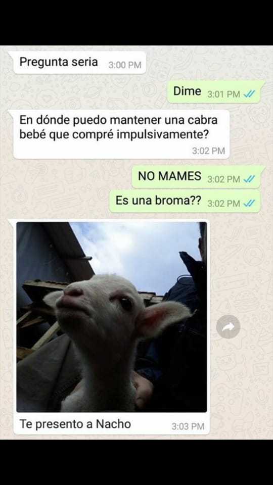 HOLA NACHO - Meme subido por CUCHON :) Memedroid