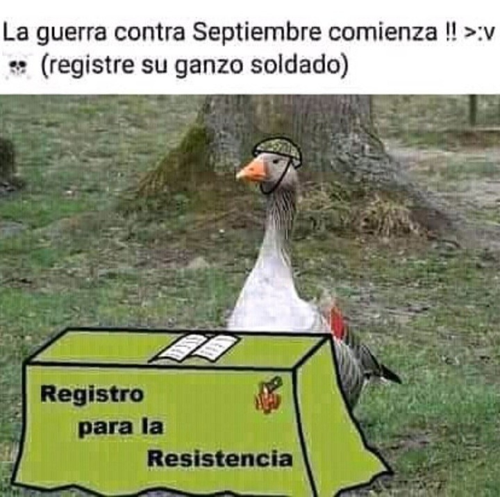 Apuesto a que flavio pierde el primer día - Meme subido por Bobmafia ...