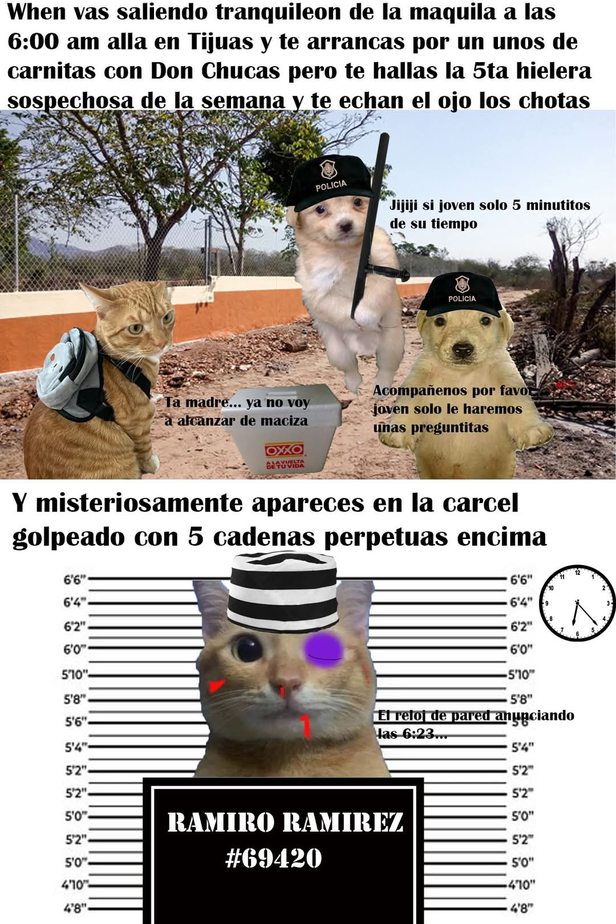 Los Últimos Memes :) Memedroid