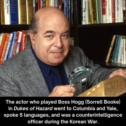 Memedroid - The best site to see, rate and share funny memes and pics!