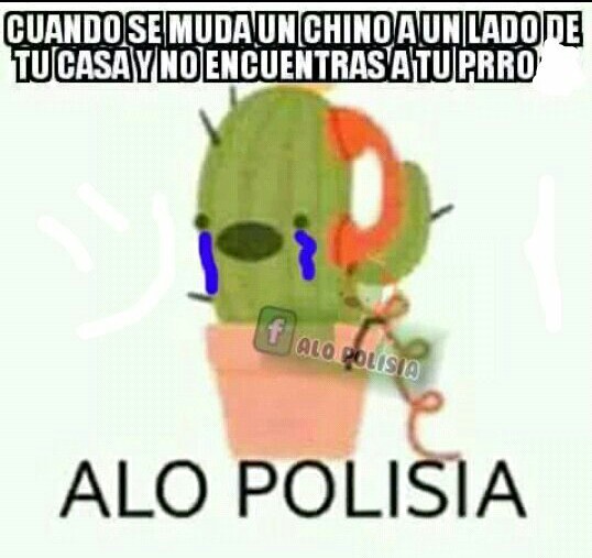 Soy un titulo.....creo - Meme subido por Ghjhh :) Memedroid