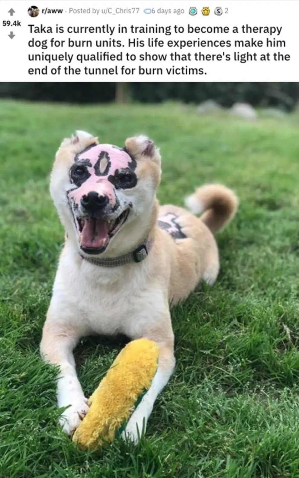 Units Memes 5 Messed Up Ways Troops Welcome The New Guy