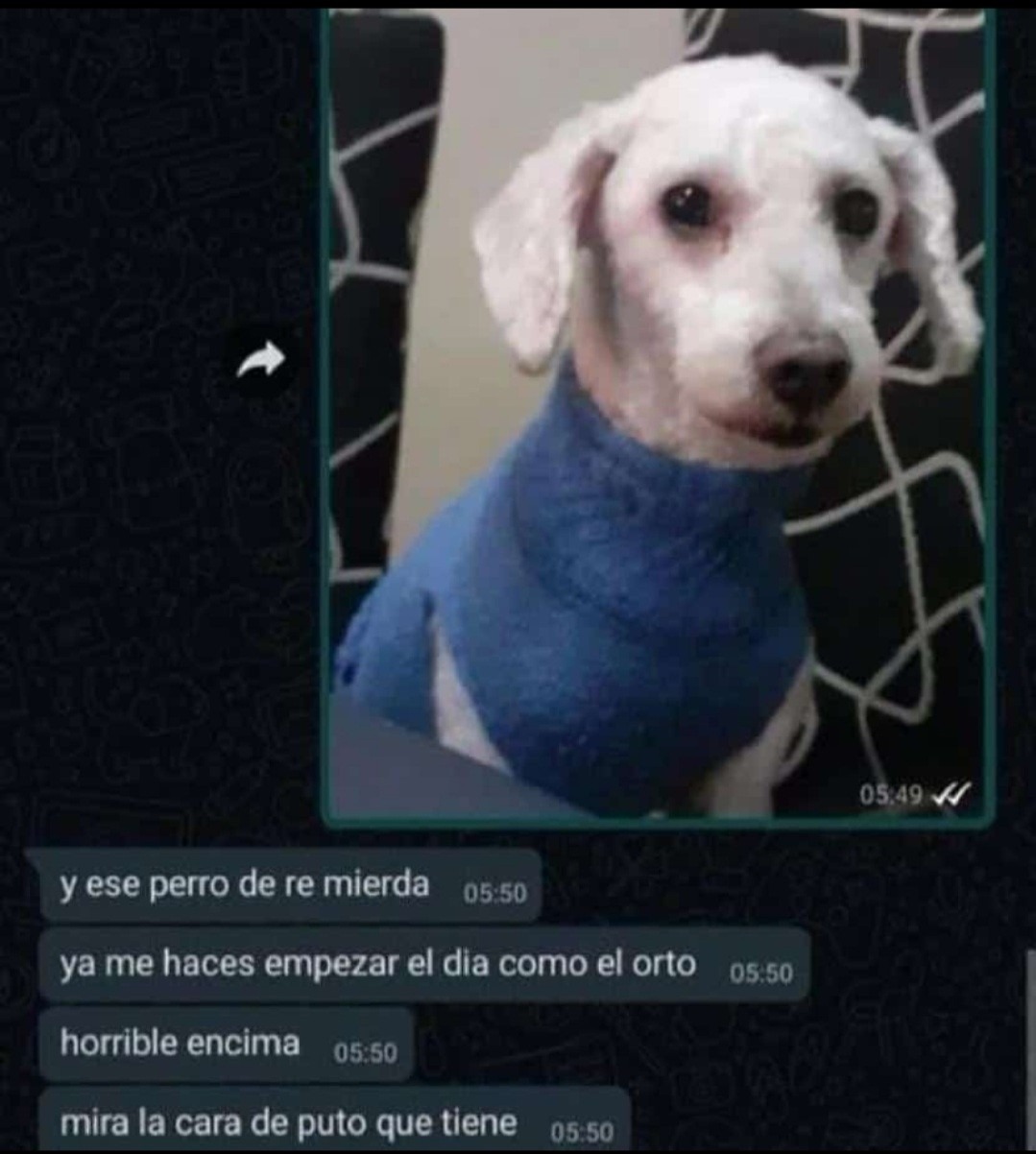 El titulo se fue a pelear con el perro - Meme subido por ElChupaPingo ...