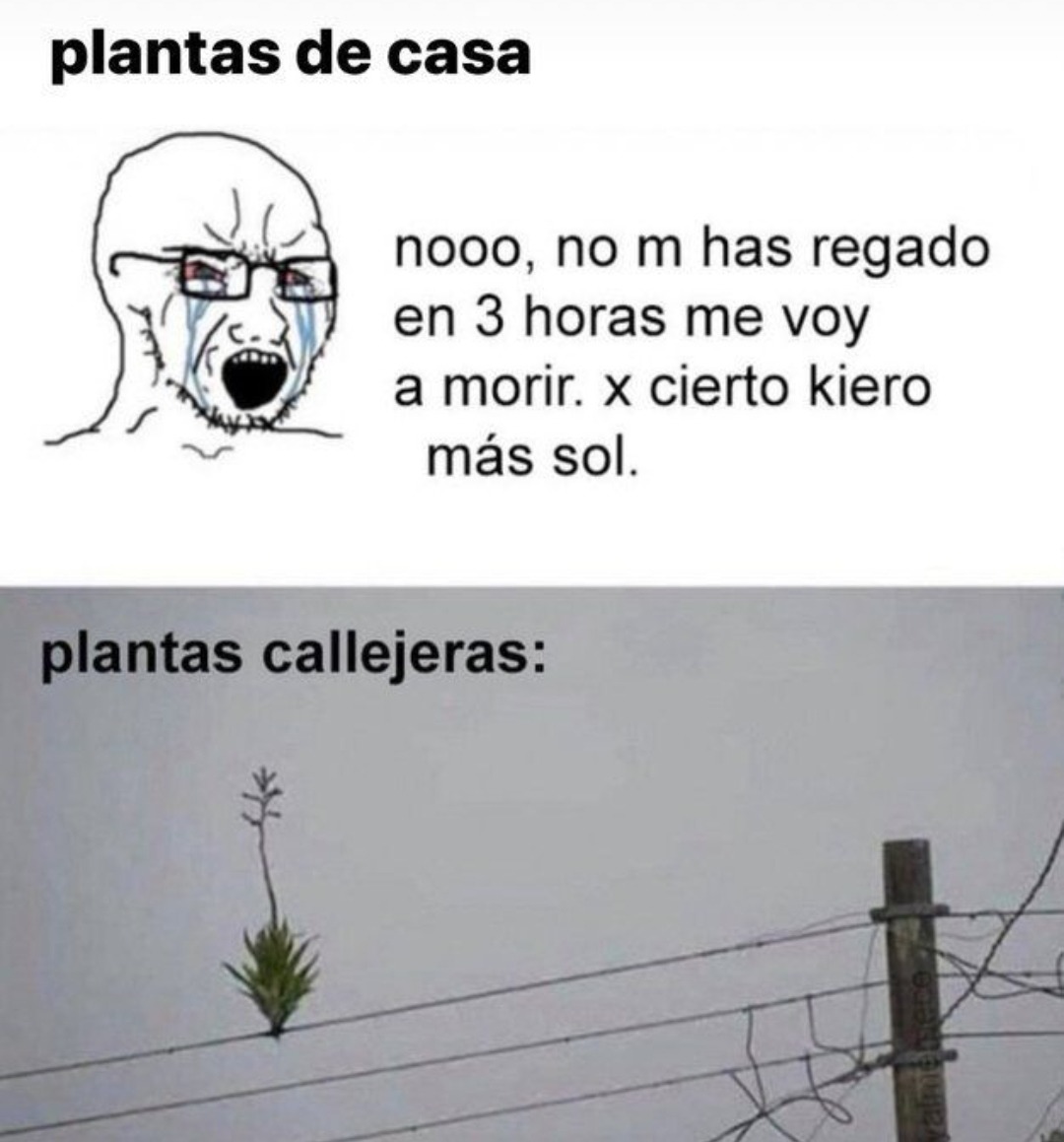 Top memes de Random en español :) Memedroid