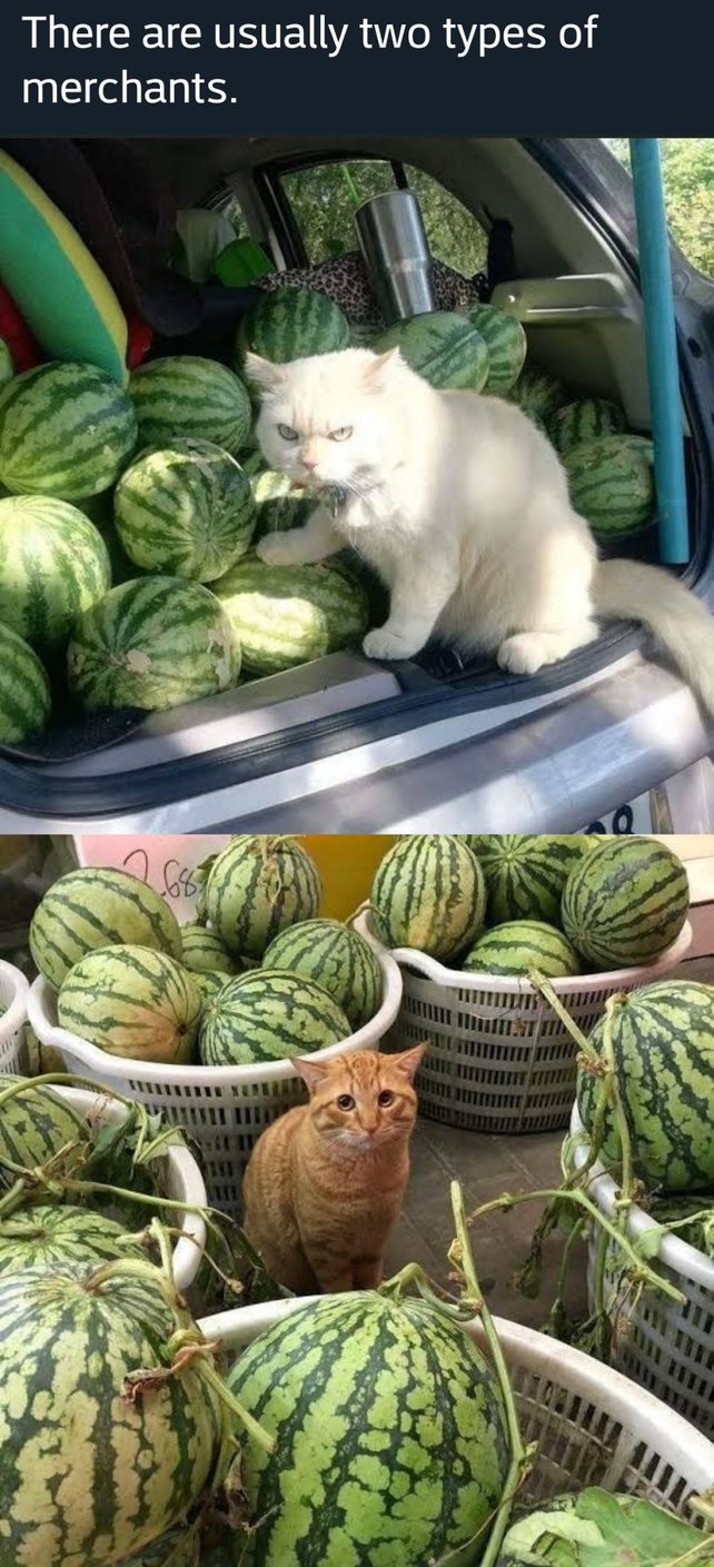 The best types - Meme by YourOtherLeft :) Memedroid