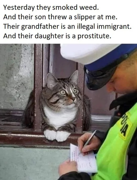 The Latest Memes :) Memedroid