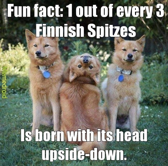 One in every brood... - Meme by prlugo :) Memedroid