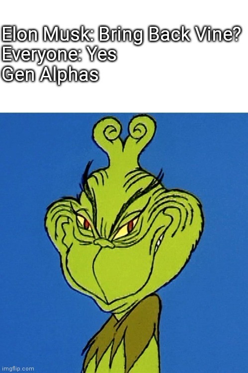 The best Vine memes :) Memedroid