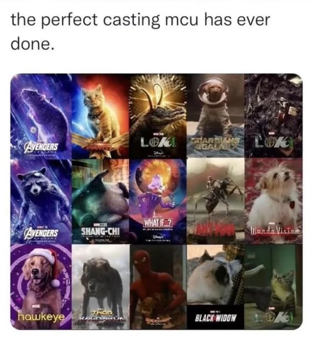 The Latest Memes :) Memedroid