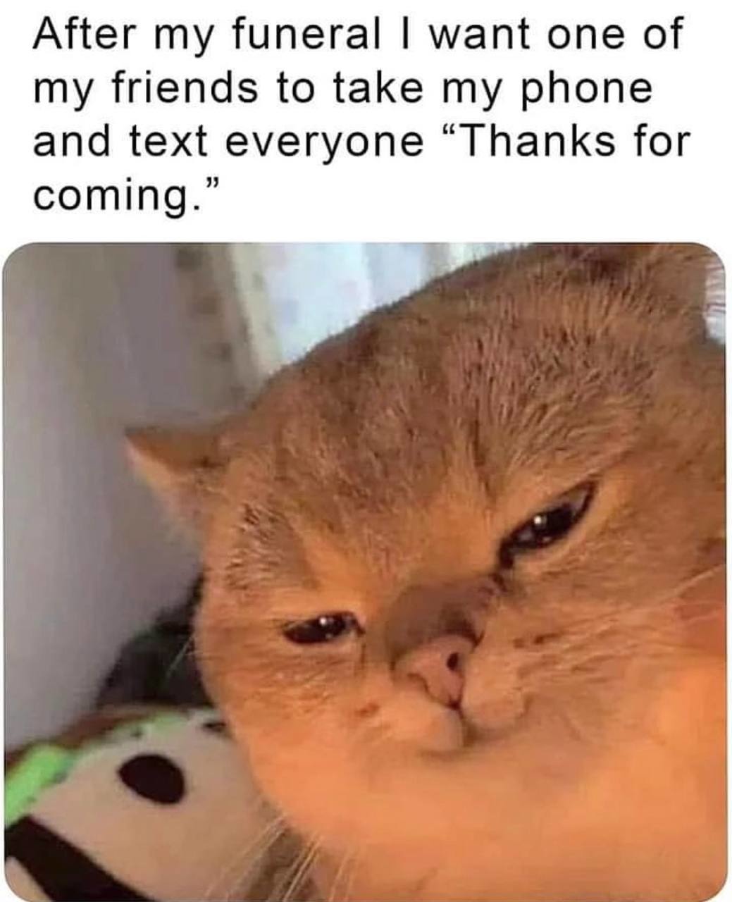 The best Texting memes :) Memedroid