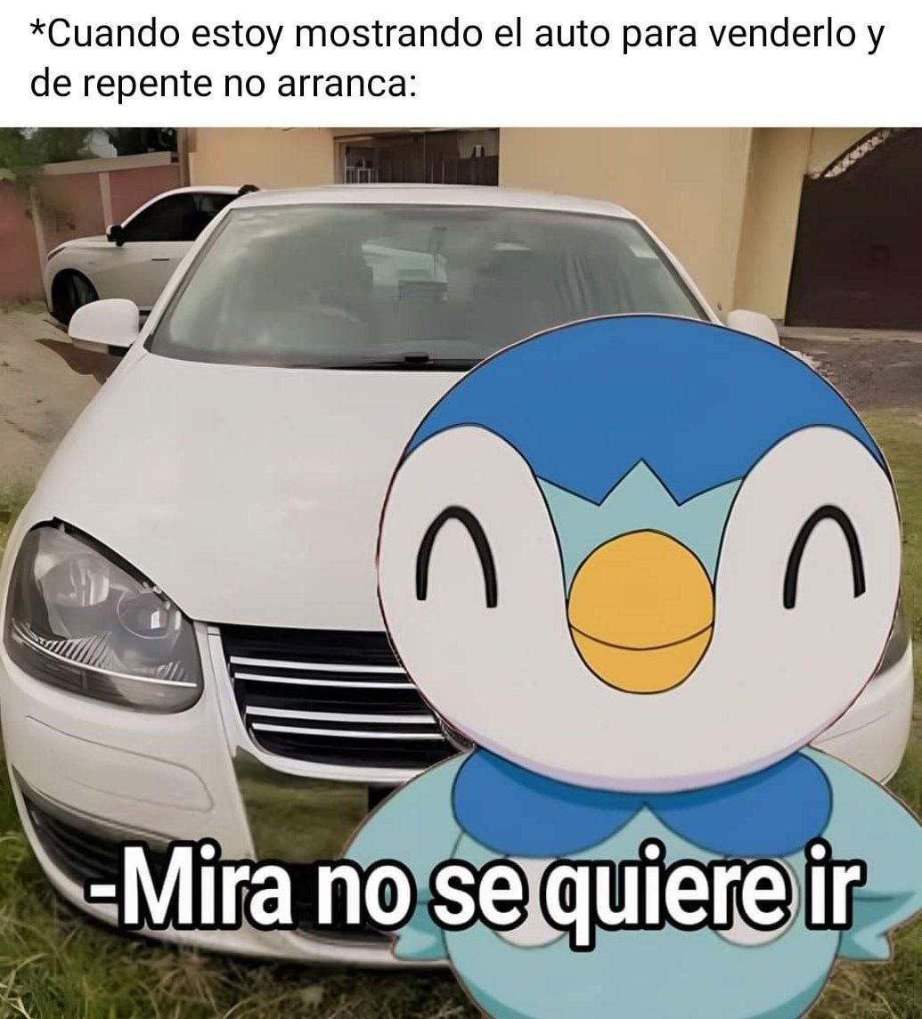 Los Últimos Memes :) Memedroid