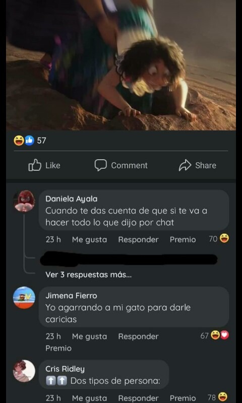 Memes De Boina