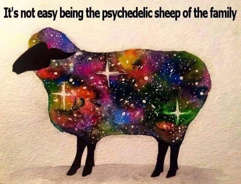 Psychedelic Sheep Memes ItS Not Easy Being The Psychedelic Sheep Of