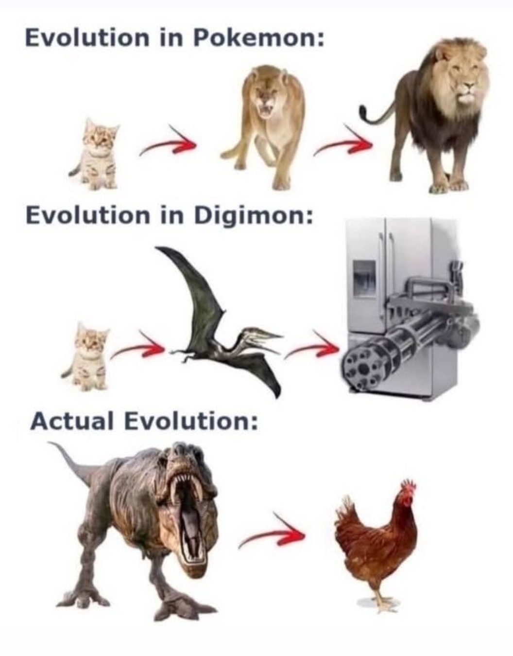 The best Evolution memes :) Memedroid