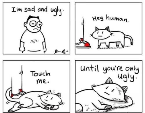 Pet - Meme by Cliffy_99 :) Memedroid