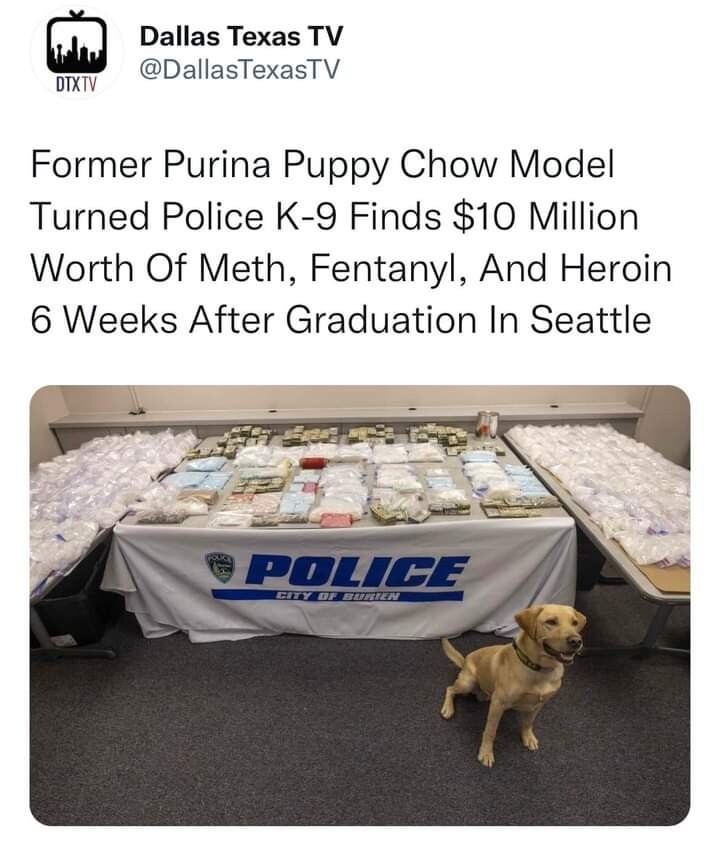 Makes sense, Dallas is the crack city capitol of Texas - Meme subido ...