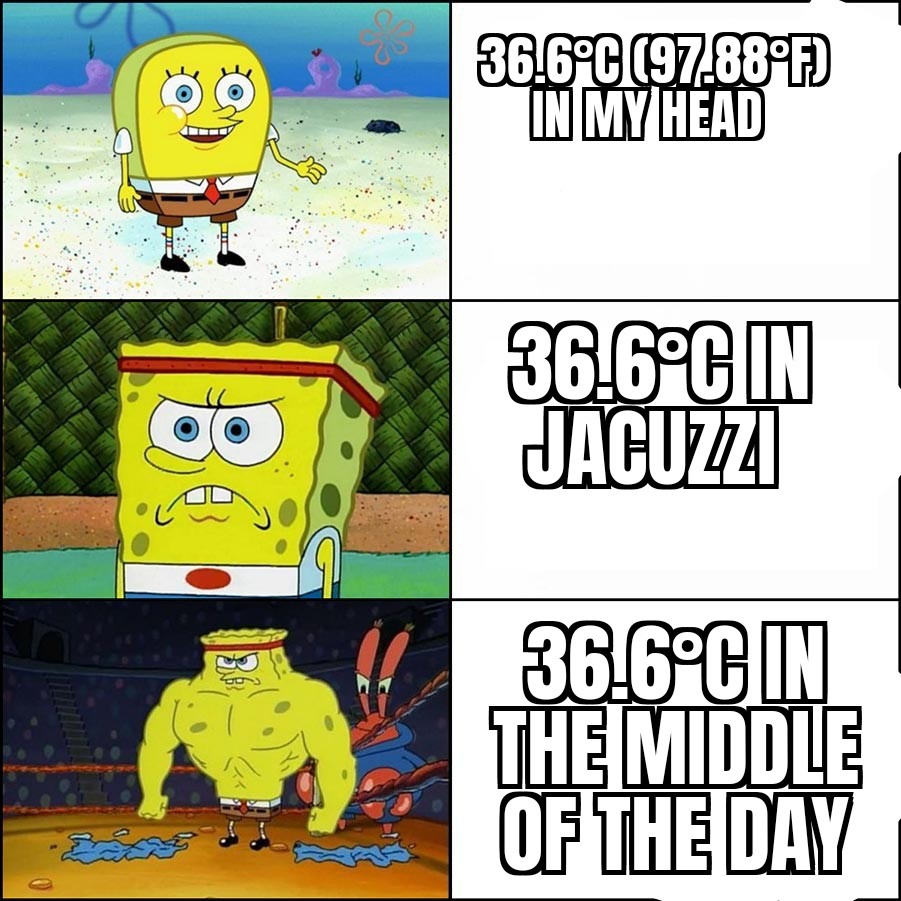 Latest memes / New memes :) Memedroid