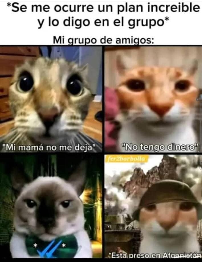 Top memes de Decepción en español :) Memedroid