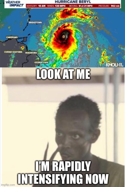 Beryl Memes