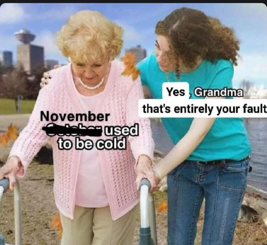 The Best November Memes :) Memedroid