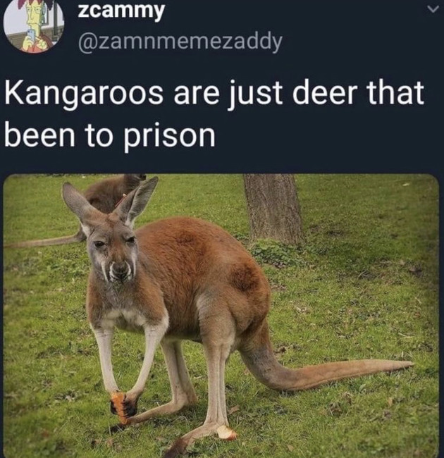 Howdy mate - Meme subido por KingOfCringe :) Memedroid