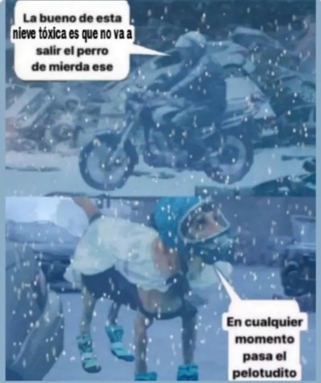 Top memes de Perros en español :) Memedroid