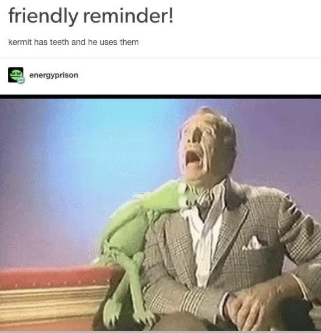 The best Kermit memes