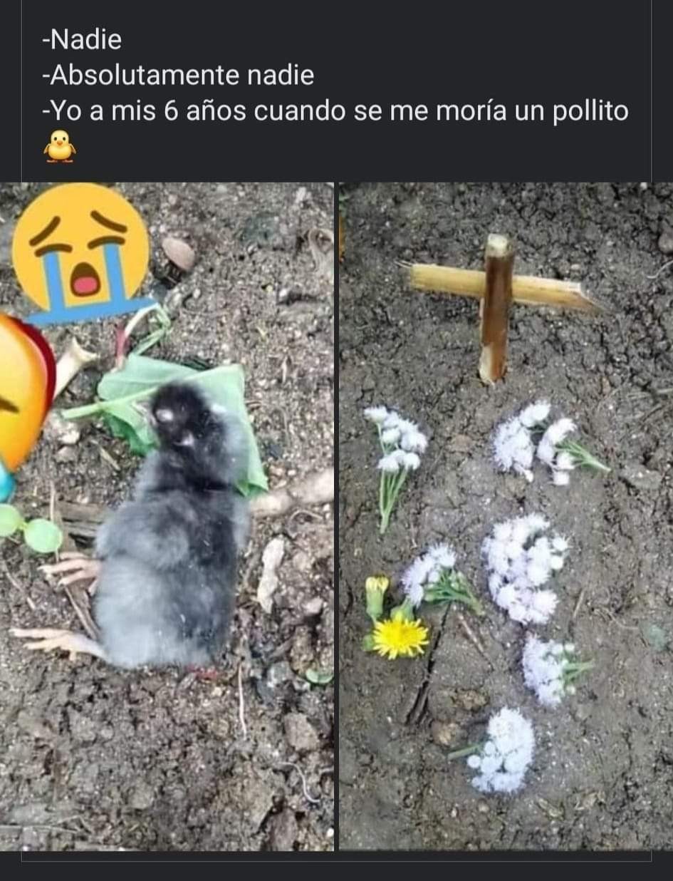 Pollito - Meme subido por No_lo_se :) Memedroid