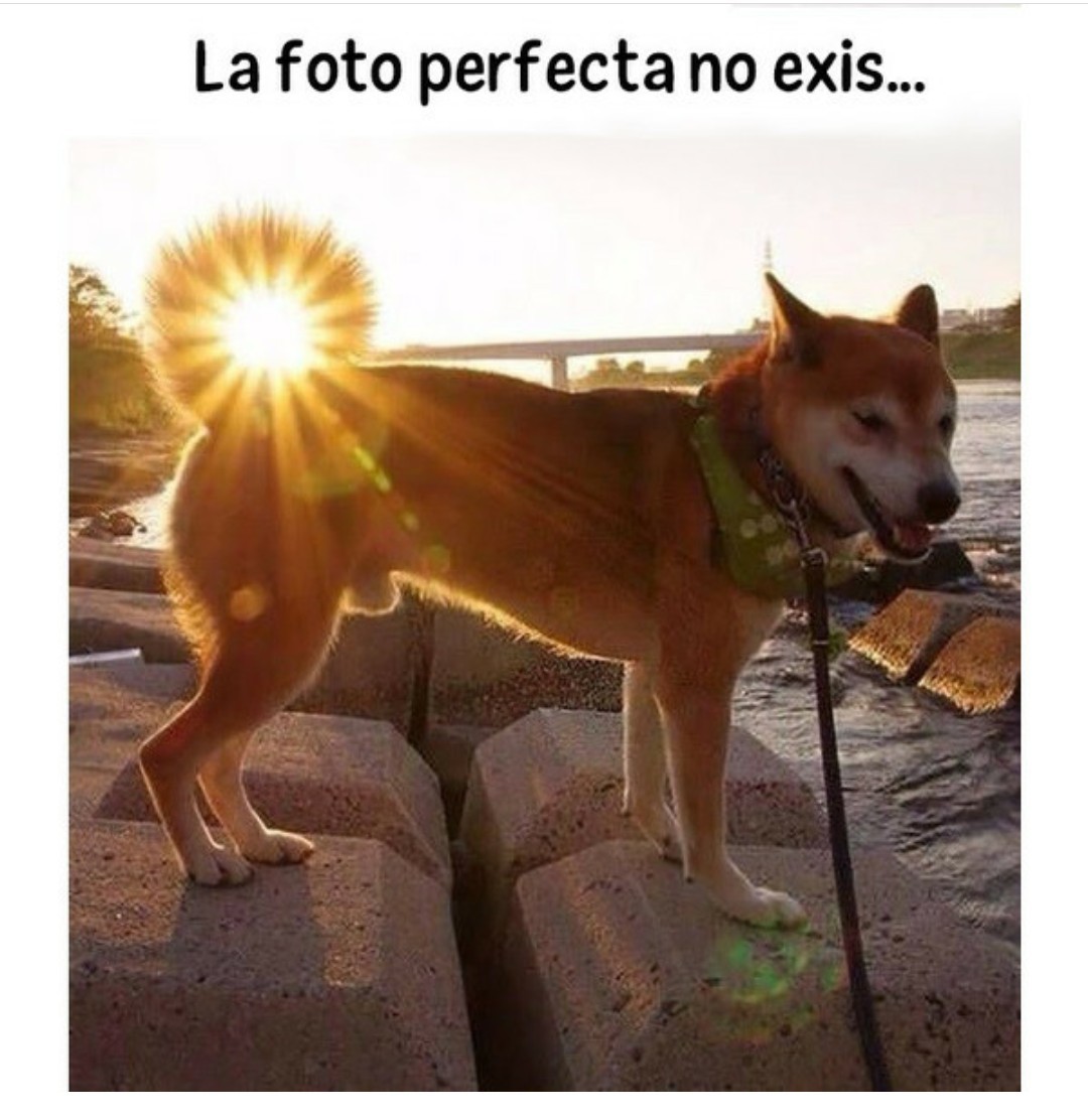 Perfecto - Meme subido por Juankelx :) Memedroid
