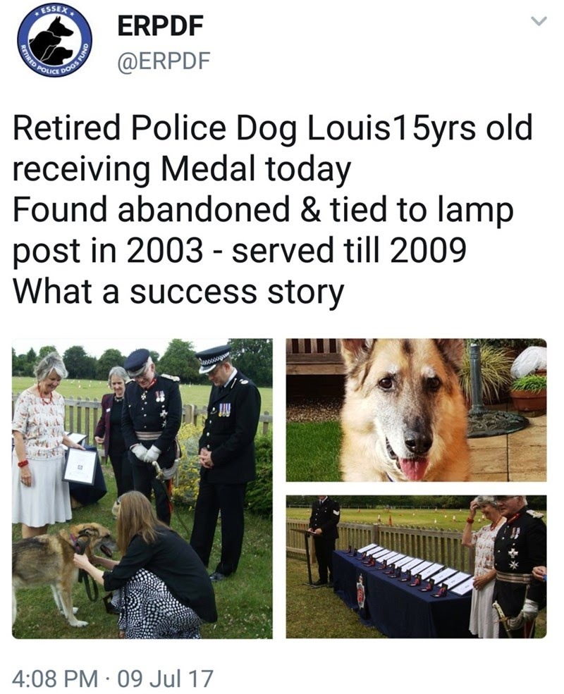 Thank you for your service - Meme subido por Scoots291 :) Memedroid