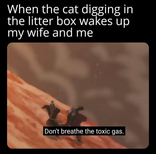 Latest memes / New memes :) Memedroid