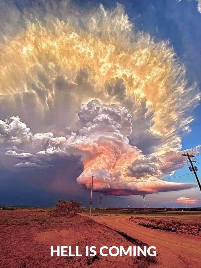 Latest memes :) Memedroid