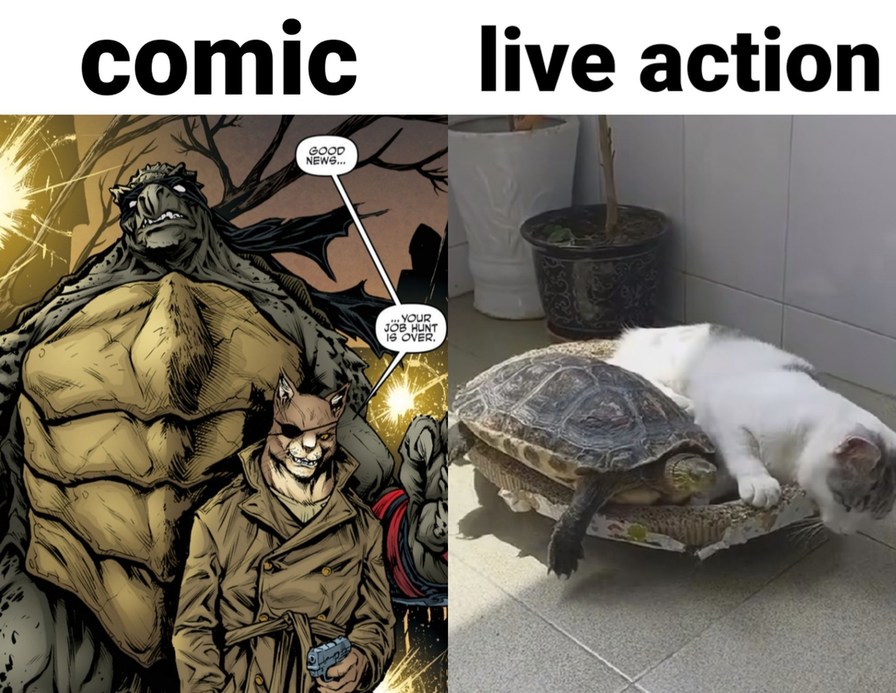 Live Action - Meme by Federico-El-Papu :) Memedroid
