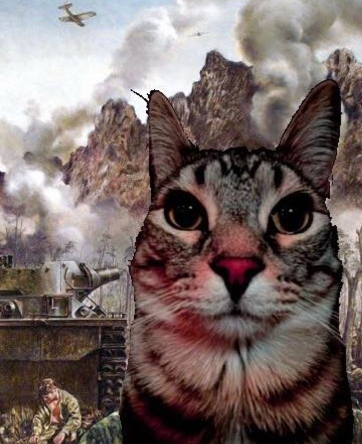 Los Últimos Memes :) Memedroid