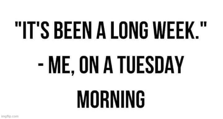 Latest memes / New memes :) Memedroid