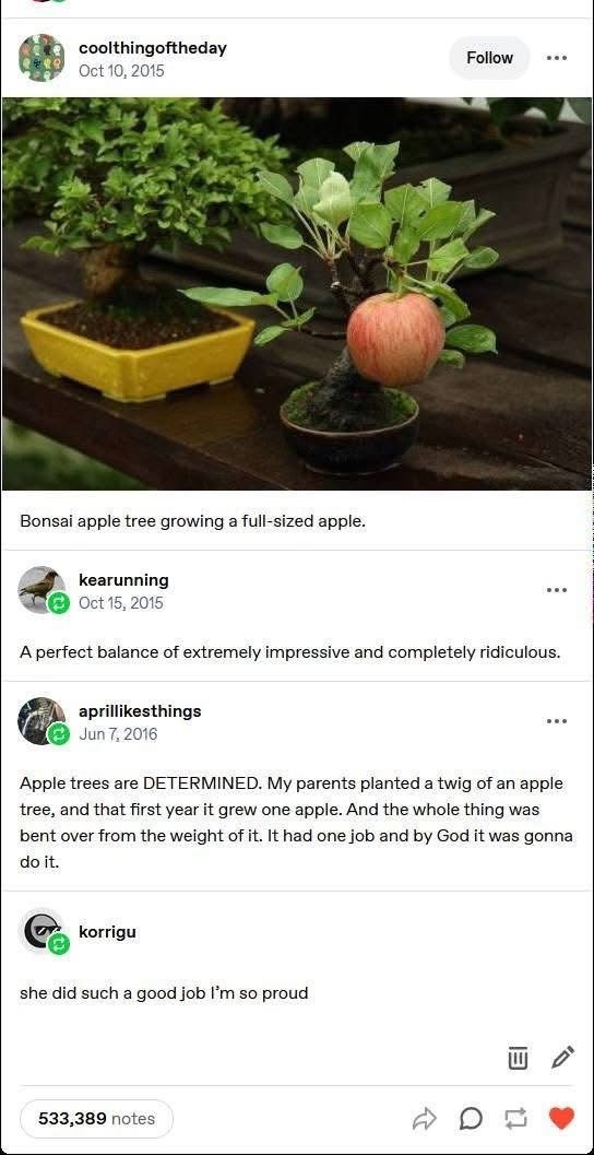 The best Determination memes :) Memedroid