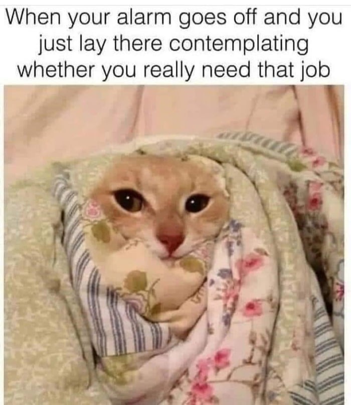 Oh no! Not again! - Meme by schizoidman :) Memedroid