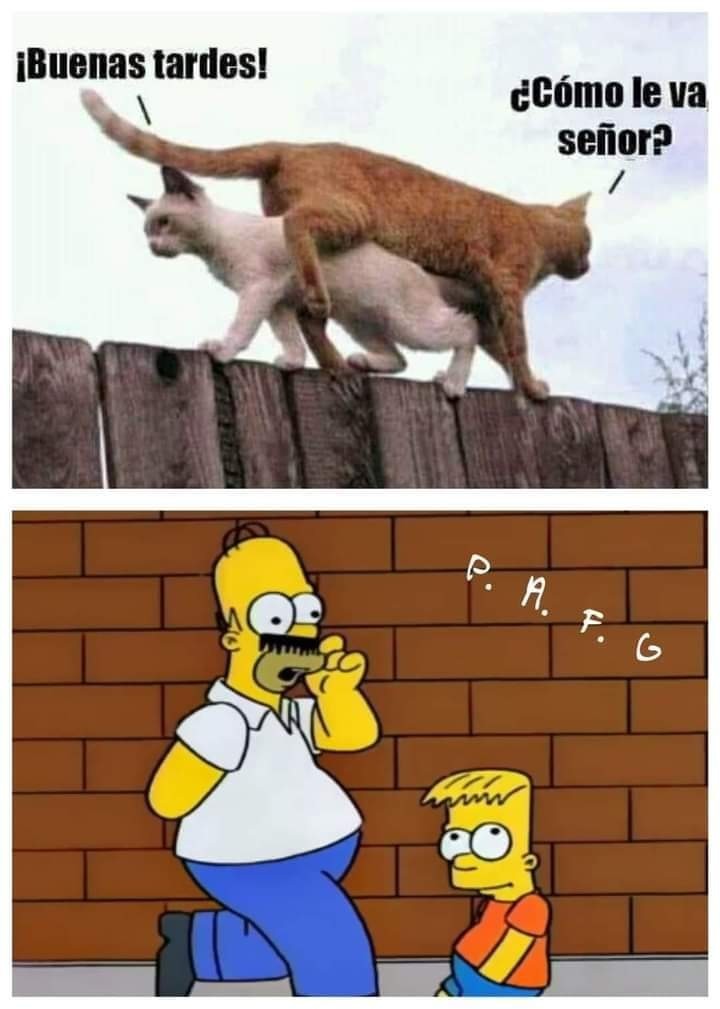 Cómo le va - Meme subido por wolschaldo :) Memedroid