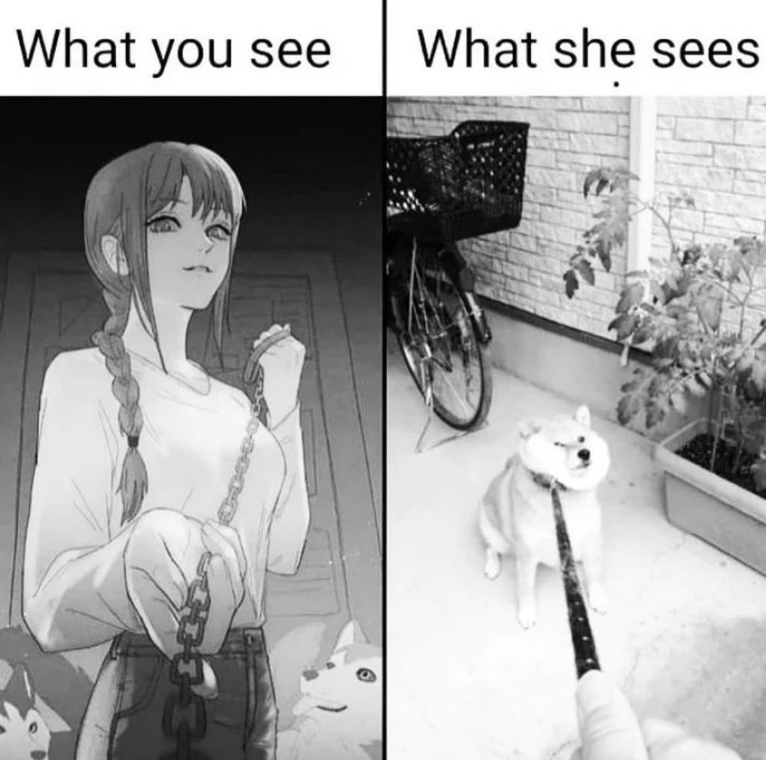 1st comment says woof - Meme subido por Crow_Se7en :) Memedroid