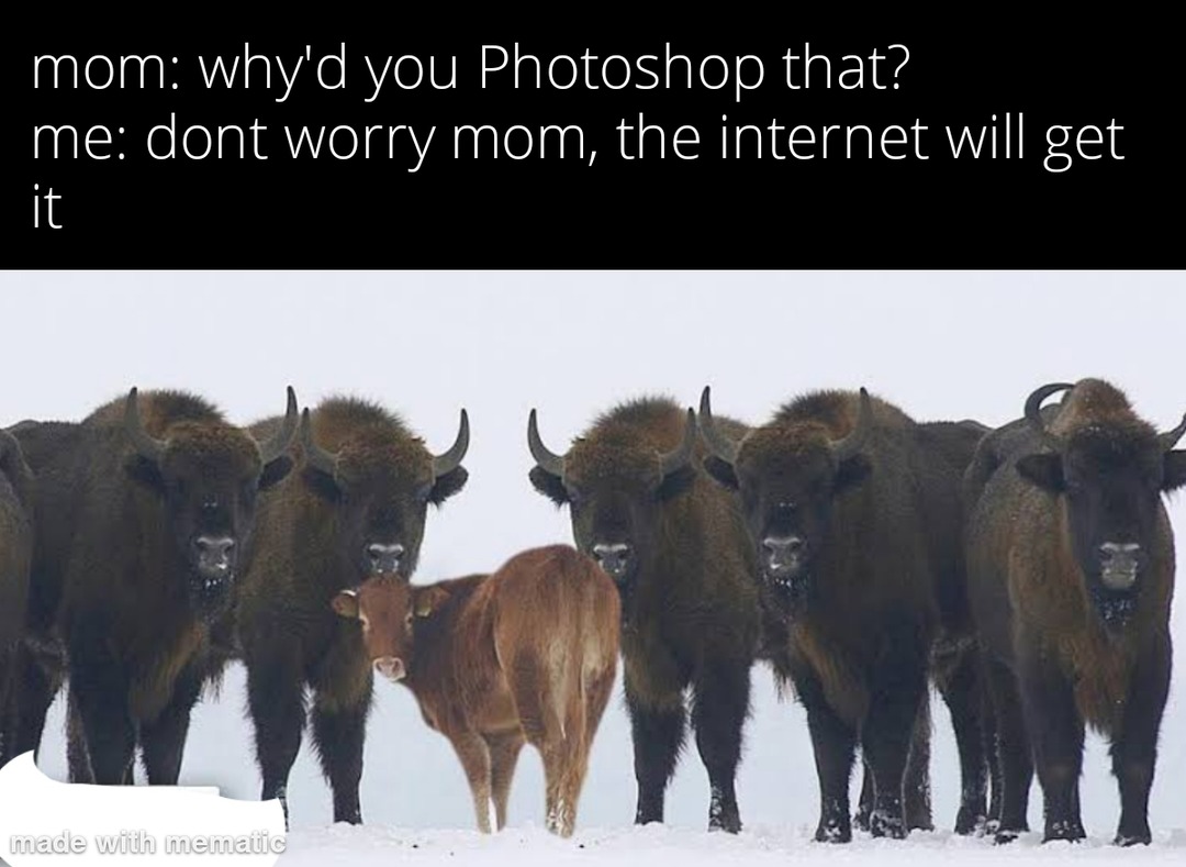 The best Photoshop memes :) Memedroid