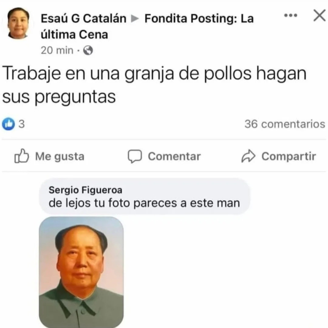 Top memes de Pollos en español :) Memedroid