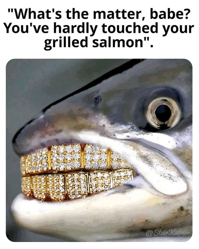 The best Salmon memes :) Memedroid